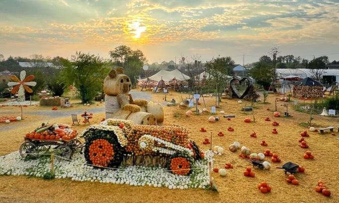 Torna il Villaggio delle Zucche di Nonno Andrea a Villorba - Prima Treviso